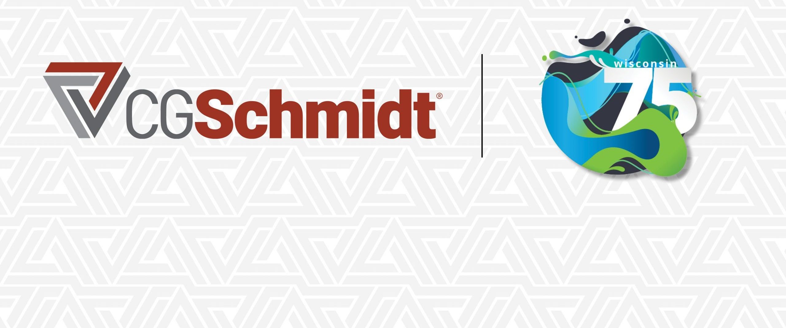 CG SCHMIDT AWARDED DELOITTE WISCONSIN 75 DISTINGUISHED PERFORMER IN DEI - CG Schmidt